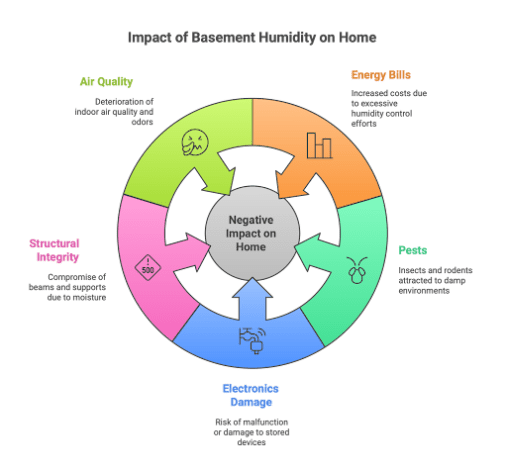 The Perfect Basement Humidity Level: Tips to Prevent Moisture